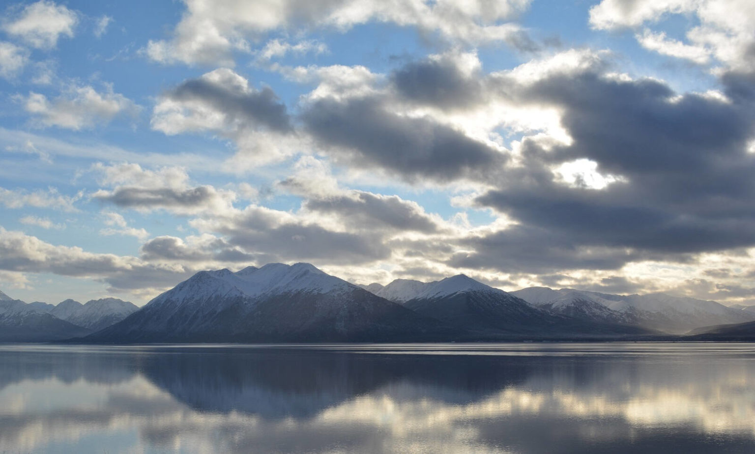 Winter Wildlife & Turnagain Arm Tour - Greatland Adventures